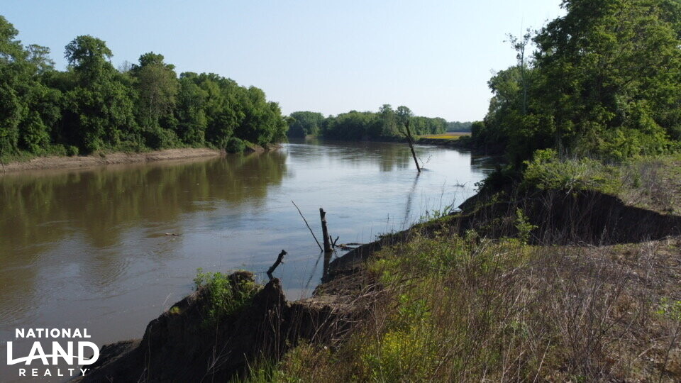 Mississippi River Bluff and Island in Tipton County, Tennessee (54 ...