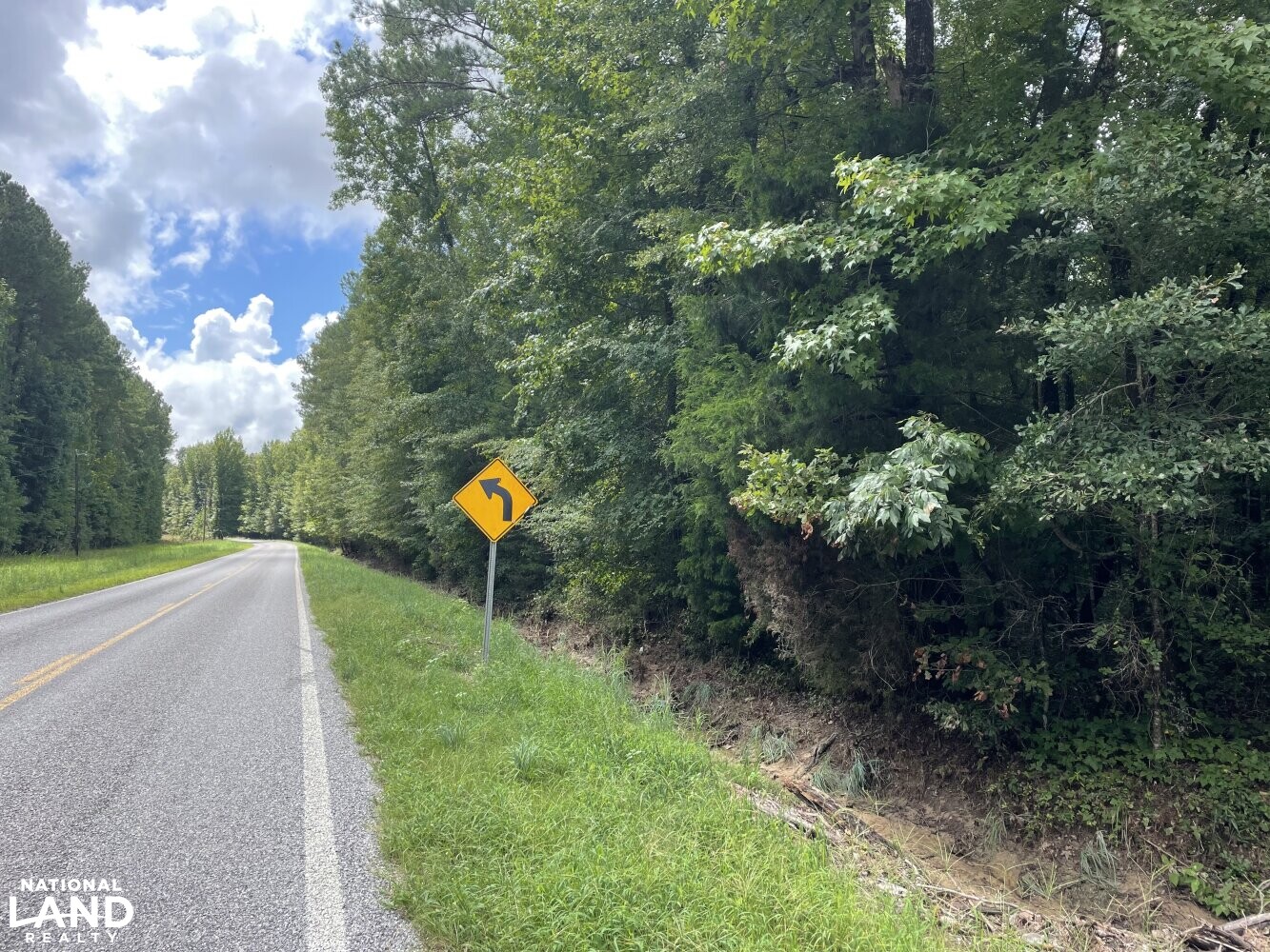 Camden Deer and Turkey in Madison County, Mississippi (33 Photos ...