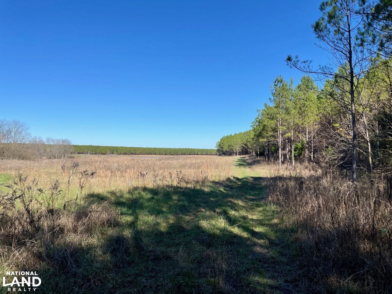 Four Roses Hunting, Fishing, and Recreational Farm & Lodge in Lowndes ...