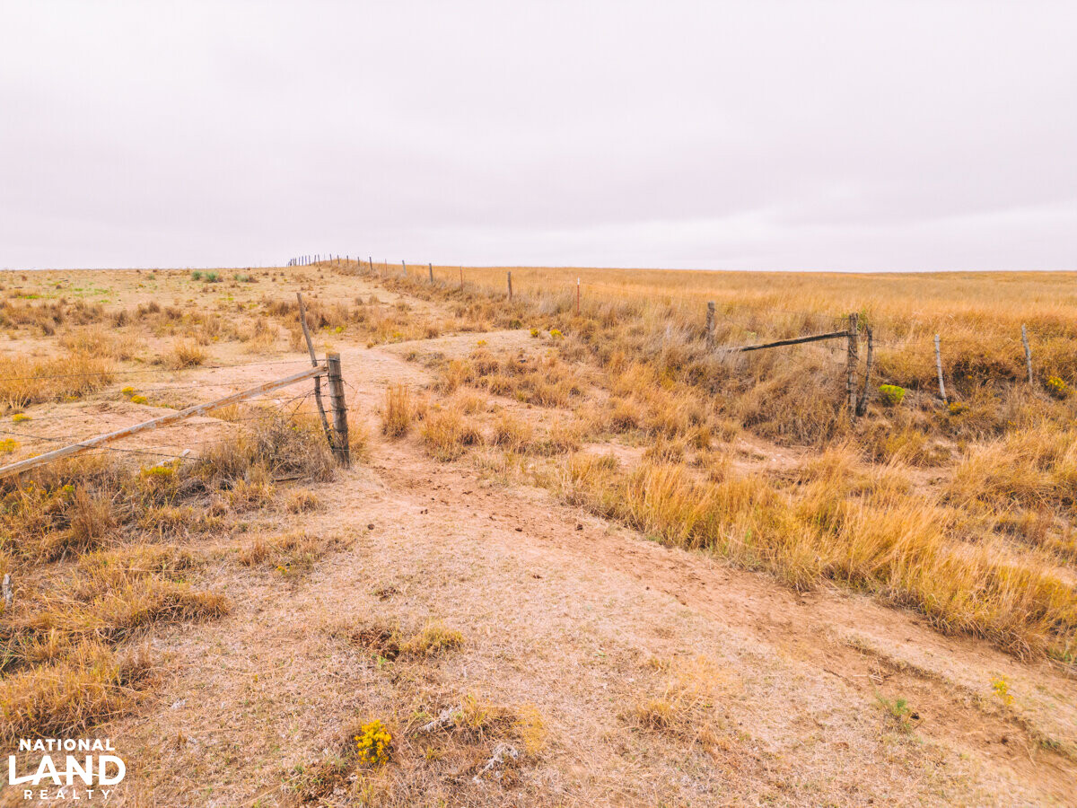 Coldwater 314 Farm in Comanche County, Kansas (21 Photos) | National ...