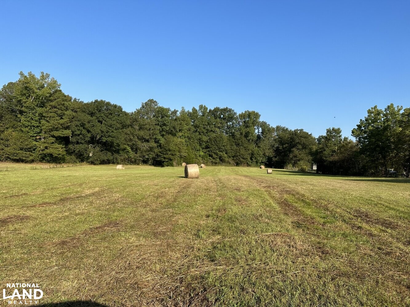 Mulberry Road Mini-Farm in Lamar County, Alabama (28 Photos) | National ...