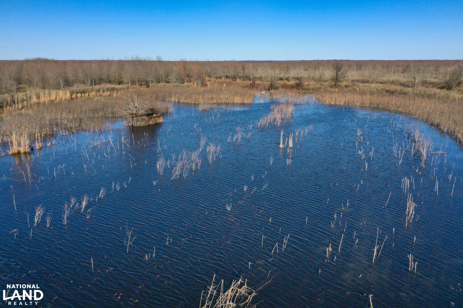 Waverly Farms Duck and Deer Paradise in Madison Parish, Louisiana (99 ...
