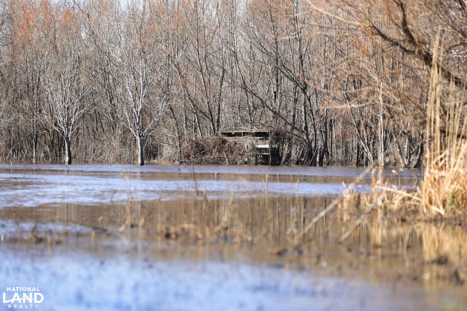Waverly Farms Duck and Deer Paradise in Madison Parish, Louisiana (99 ...