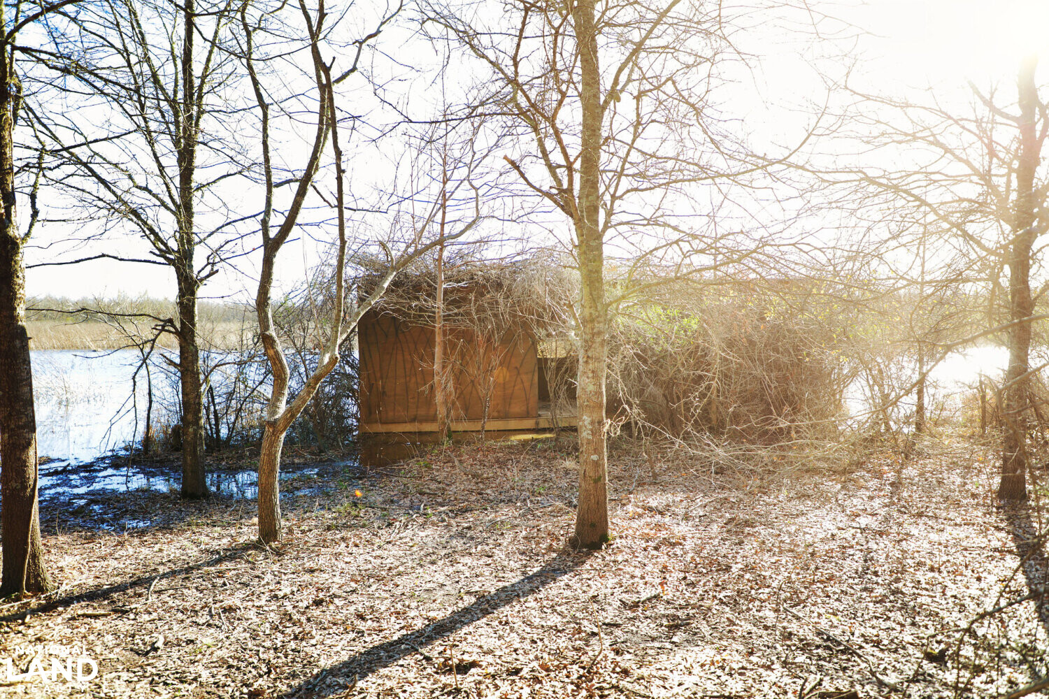 Waverly Farms Duck and Deer Paradise in Madison Parish, Louisiana (99 ...