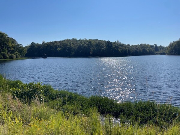 Jack Duke Lake Property in Tuscaloosa County, Alabama (63 Photos ...