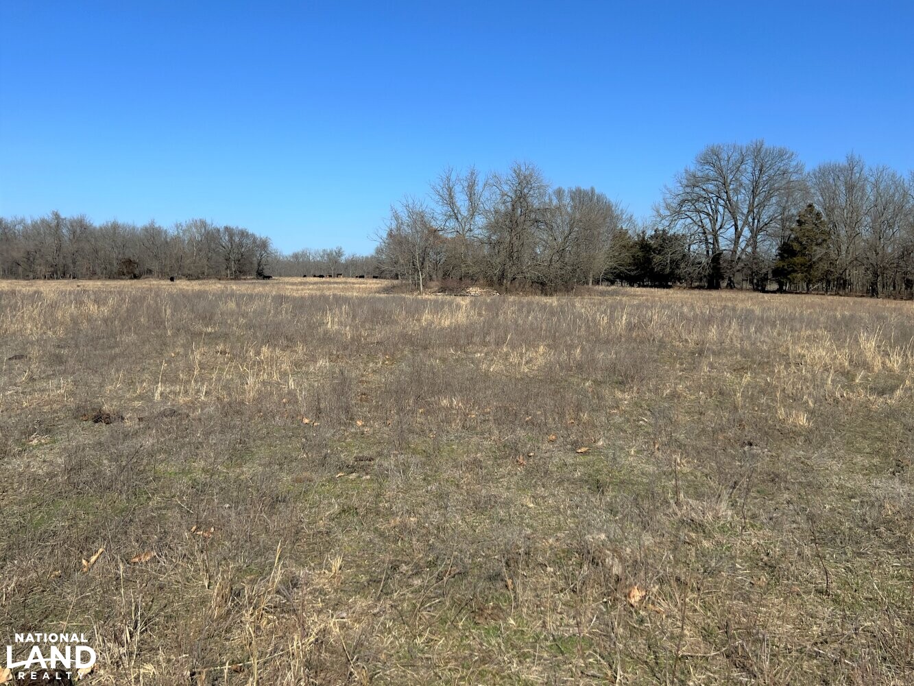 Small Farm Near Stockton Lake in Dade County, Missouri (55 Photos ...