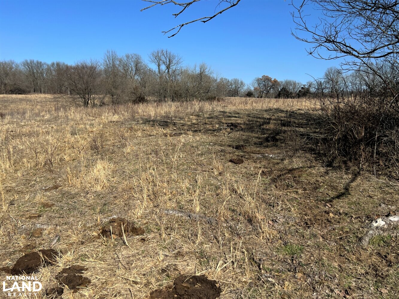 Small Farm Near Stockton Lake in Dade County, Missouri (55 Photos ...
