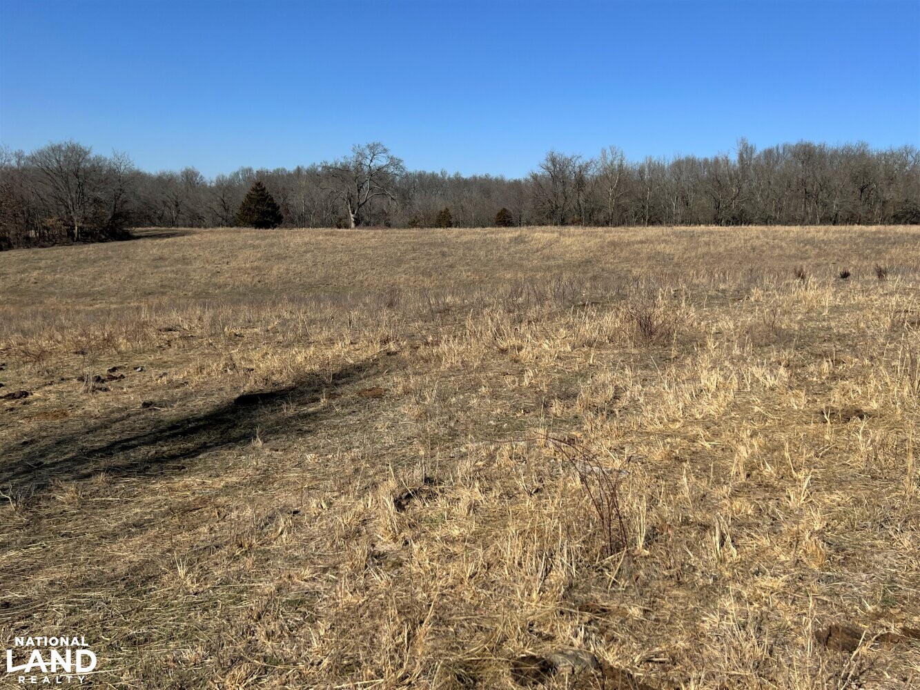 Small Farm Near Stockton Lake in Dade County, Missouri (55 Photos ...