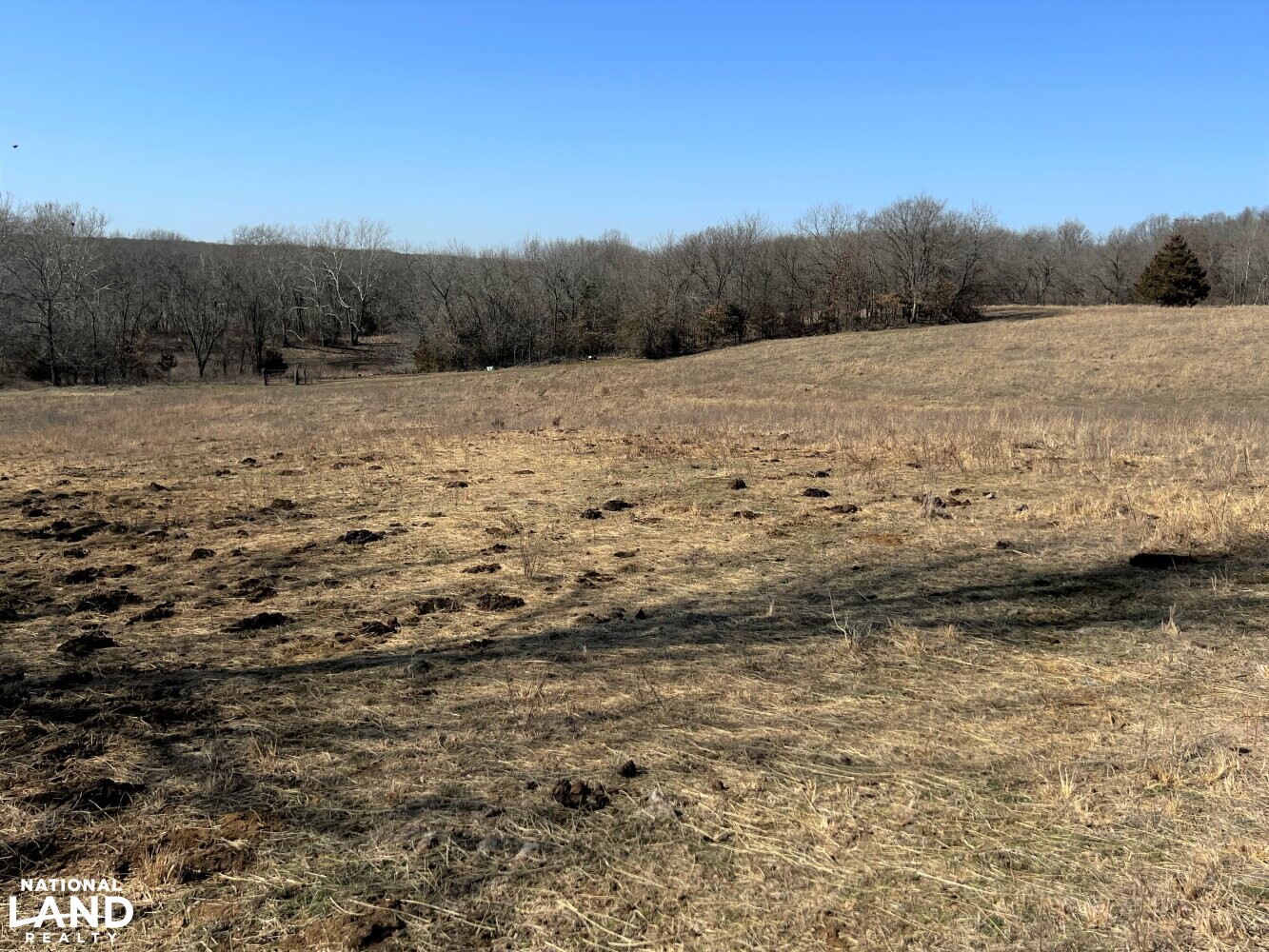 Small Farm Near Stockton Lake in Dade County, Missouri (55 Photos ...