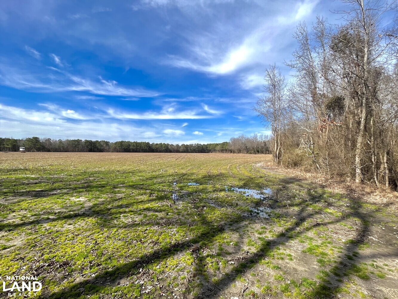 Greene County Timber/Recreational Tract in Greene County, North ...