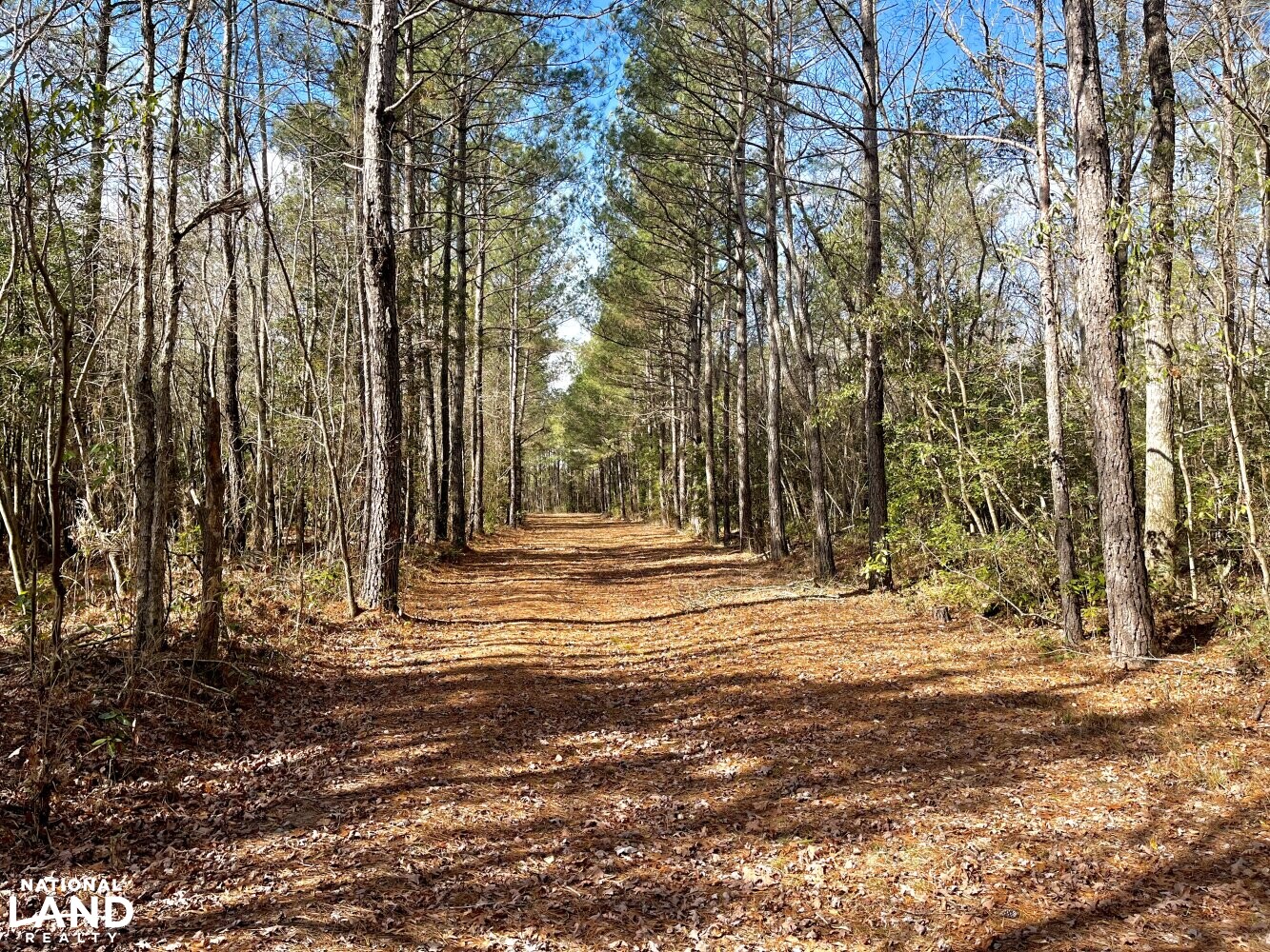 Greene County Timber/Recreational Tract in Greene County, North ...