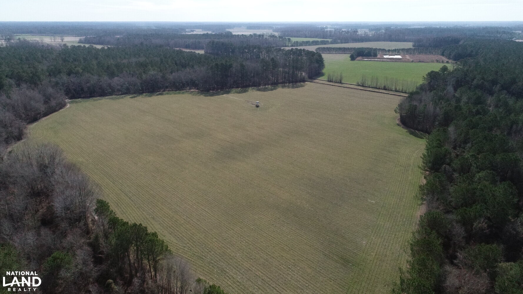 Greene County Timber/Recreational Tract in Greene County, North ...