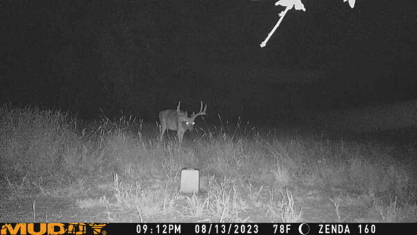 Harper County Big Buck Quarter in Harper County, Kansas (55 Photos ...