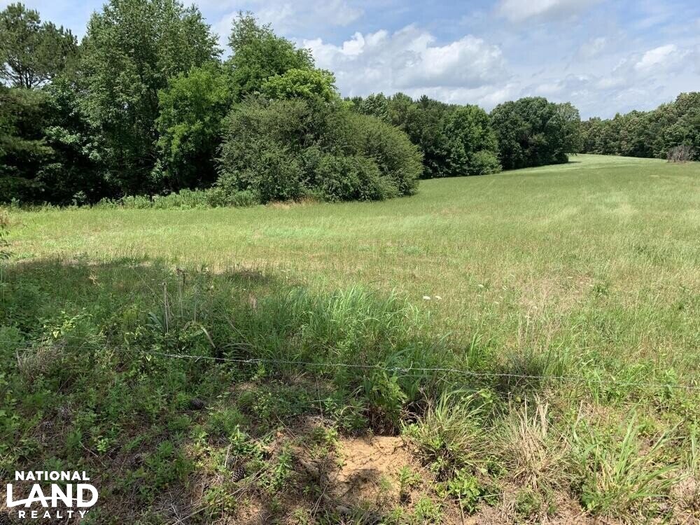 Anderson 25 acres potential homesite in Lauderdale County, Alabama (7 ...