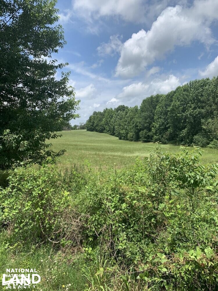 Anderson 25 acres potential homesite in Lauderdale County, Alabama (7 ...