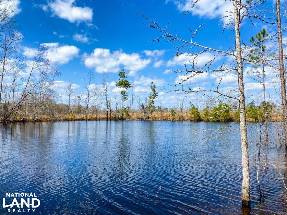 Turn Key Hunting with 3 Ponds and Planted Pine in Laurens County ...