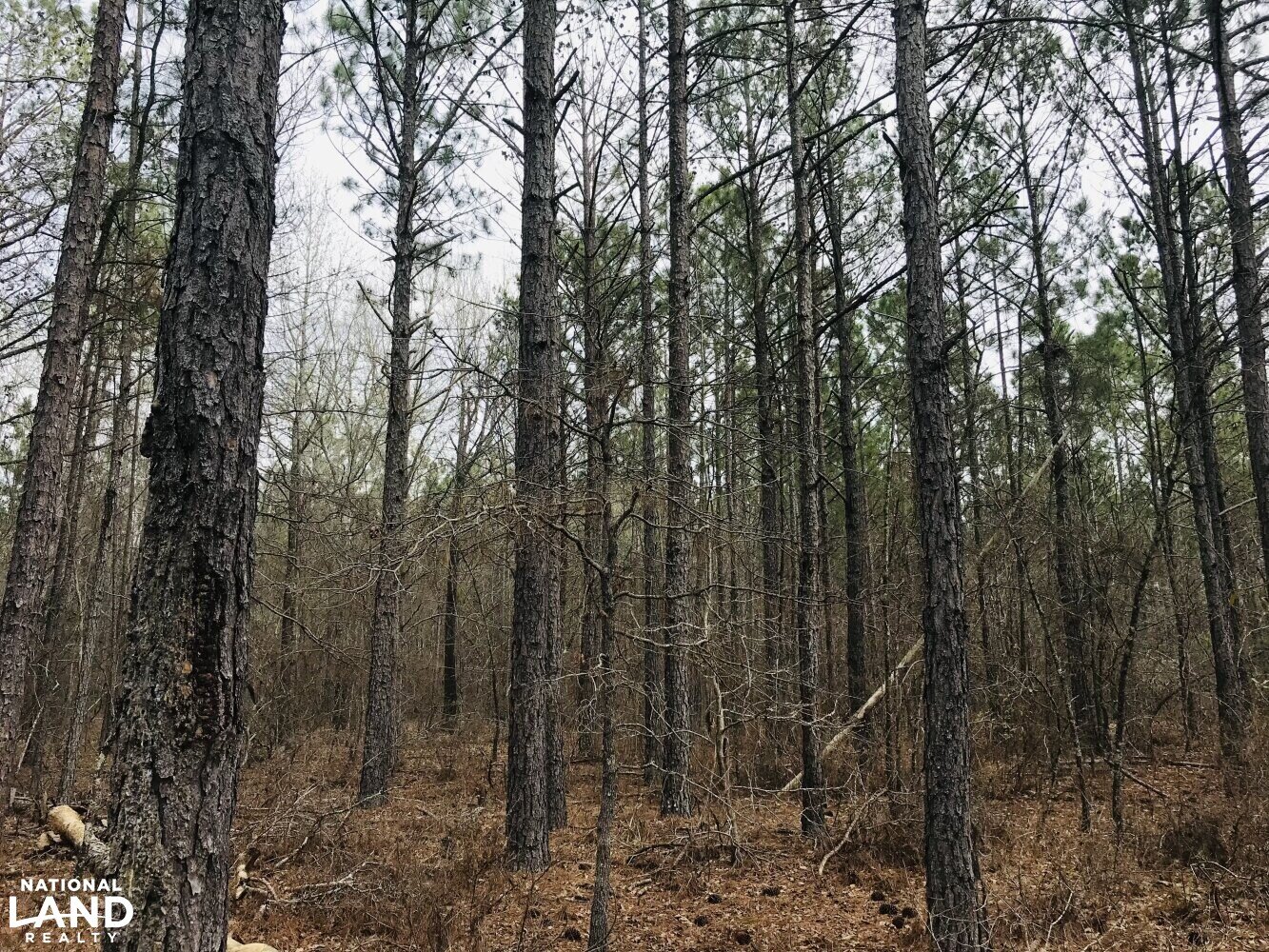 Hunters Paradise with Brick Home in Taylor County, Georgia (37 Photos ...