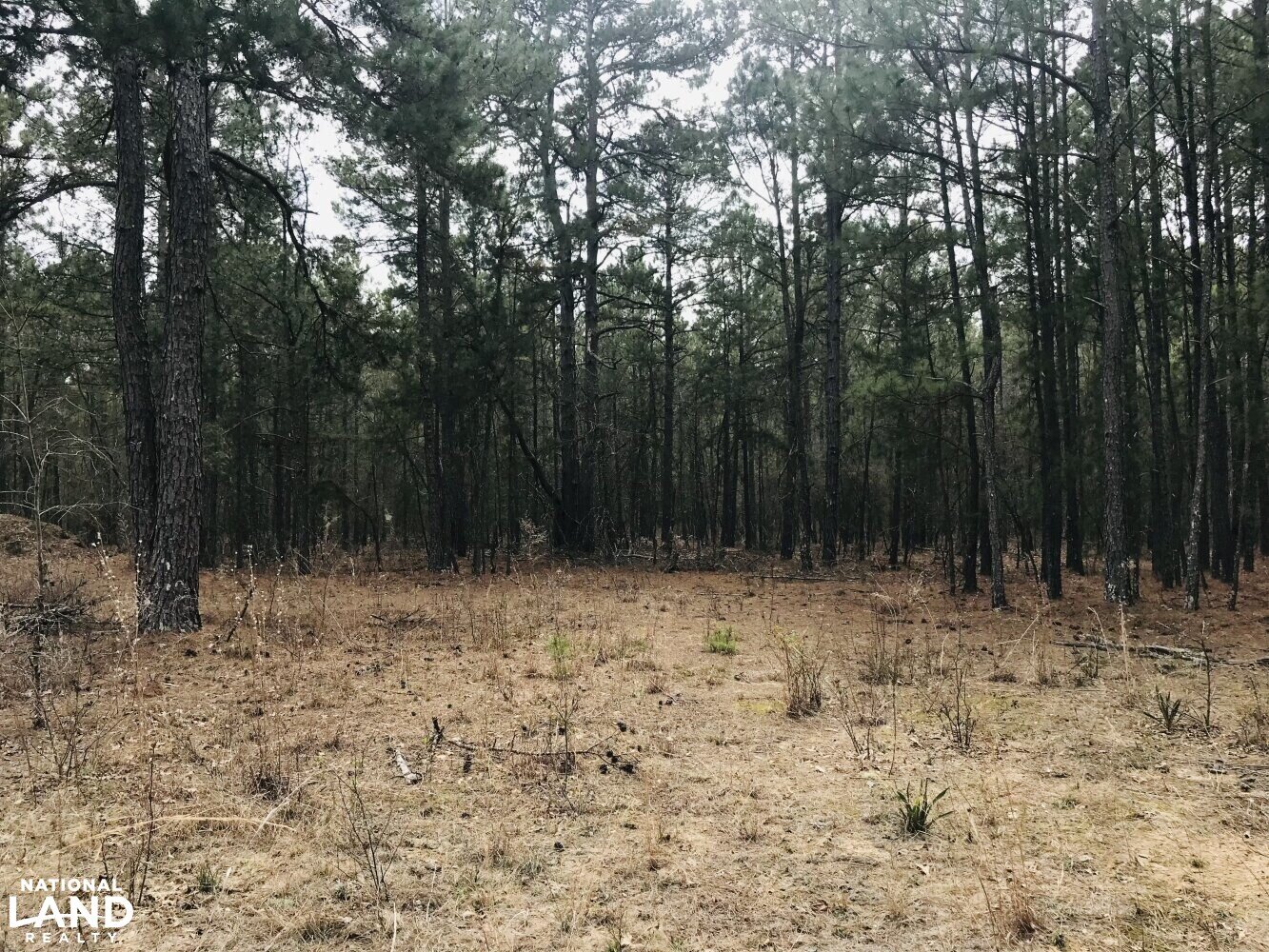 Hunters Paradise with Brick Home in Taylor County, Georgia (37 Photos ...