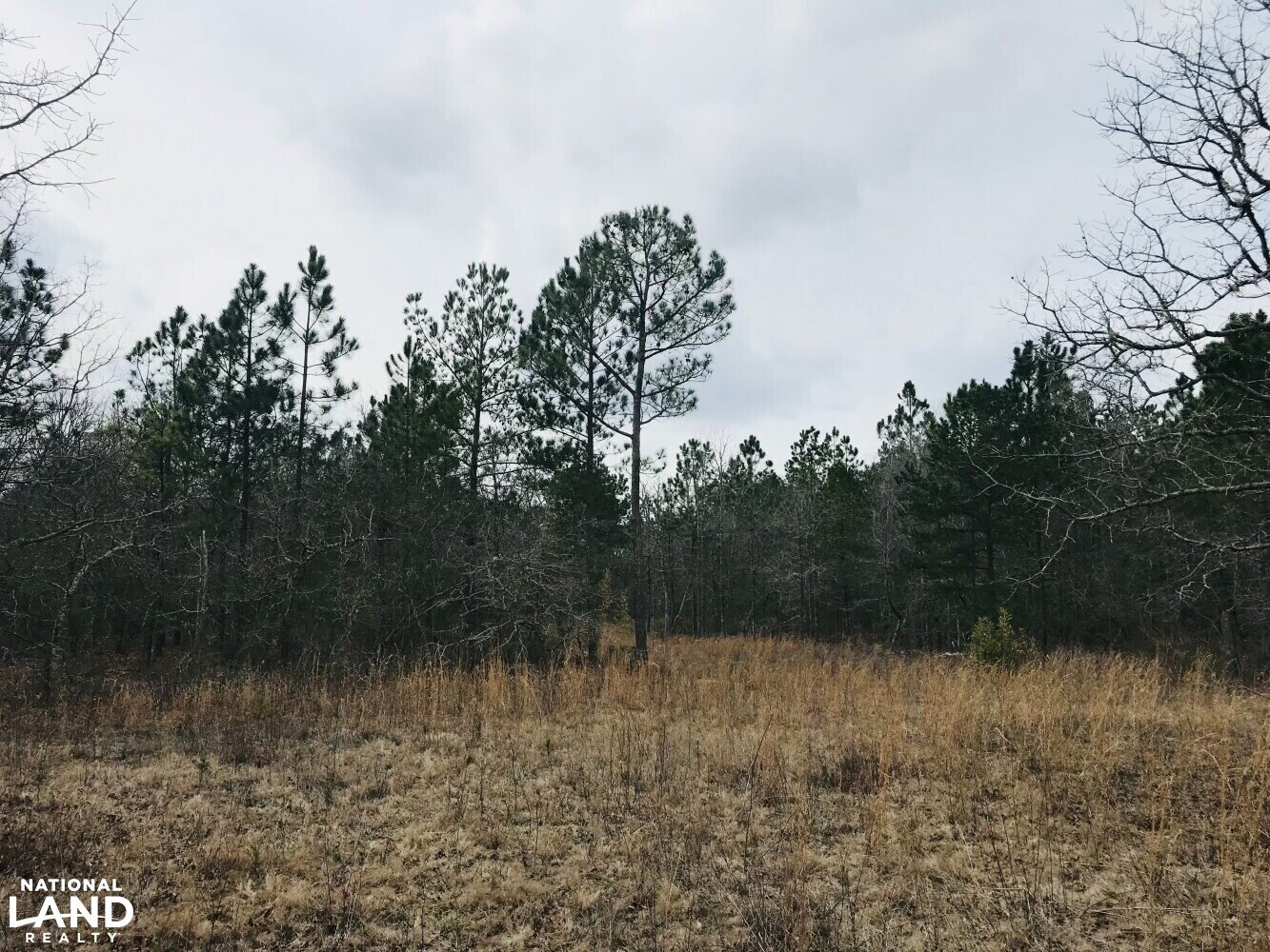 Hunters Paradise with Brick Home in Taylor County, Georgia (37 Photos ...