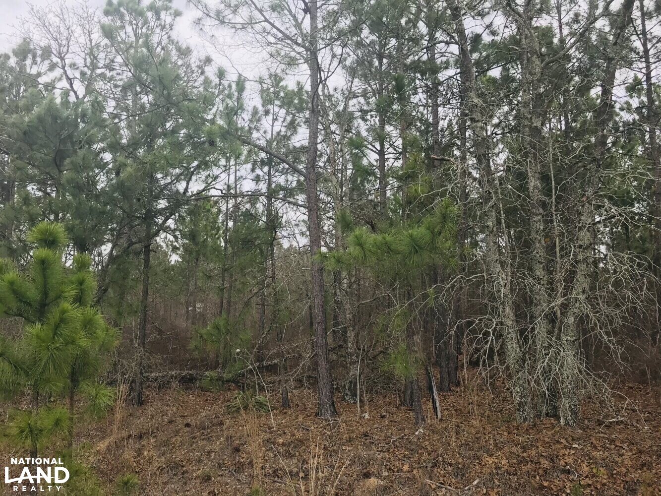 Hunters Paradise with Brick Home in Taylor County, Georgia (37 Photos ...