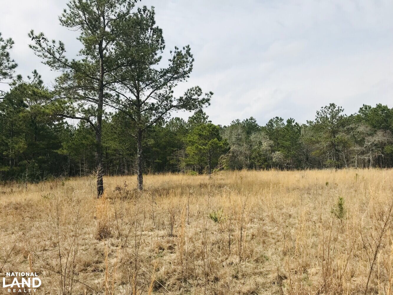 Hunters Paradise with Brick Home in Taylor County, Georgia (37 Photos ...