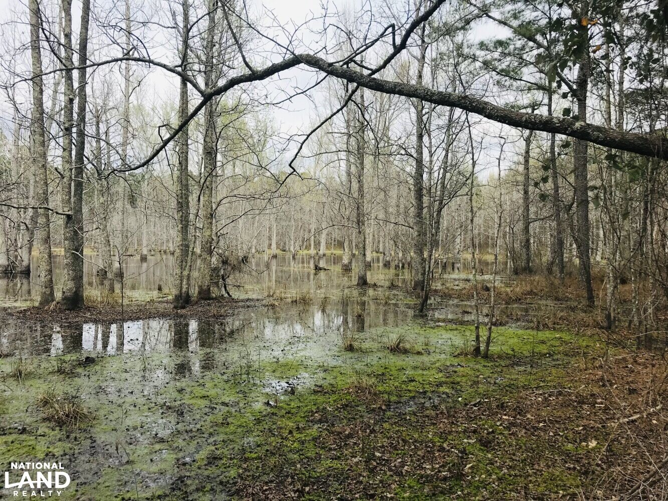 Hunters Paradise with Brick Home in Taylor County, Georgia (37 Photos ...