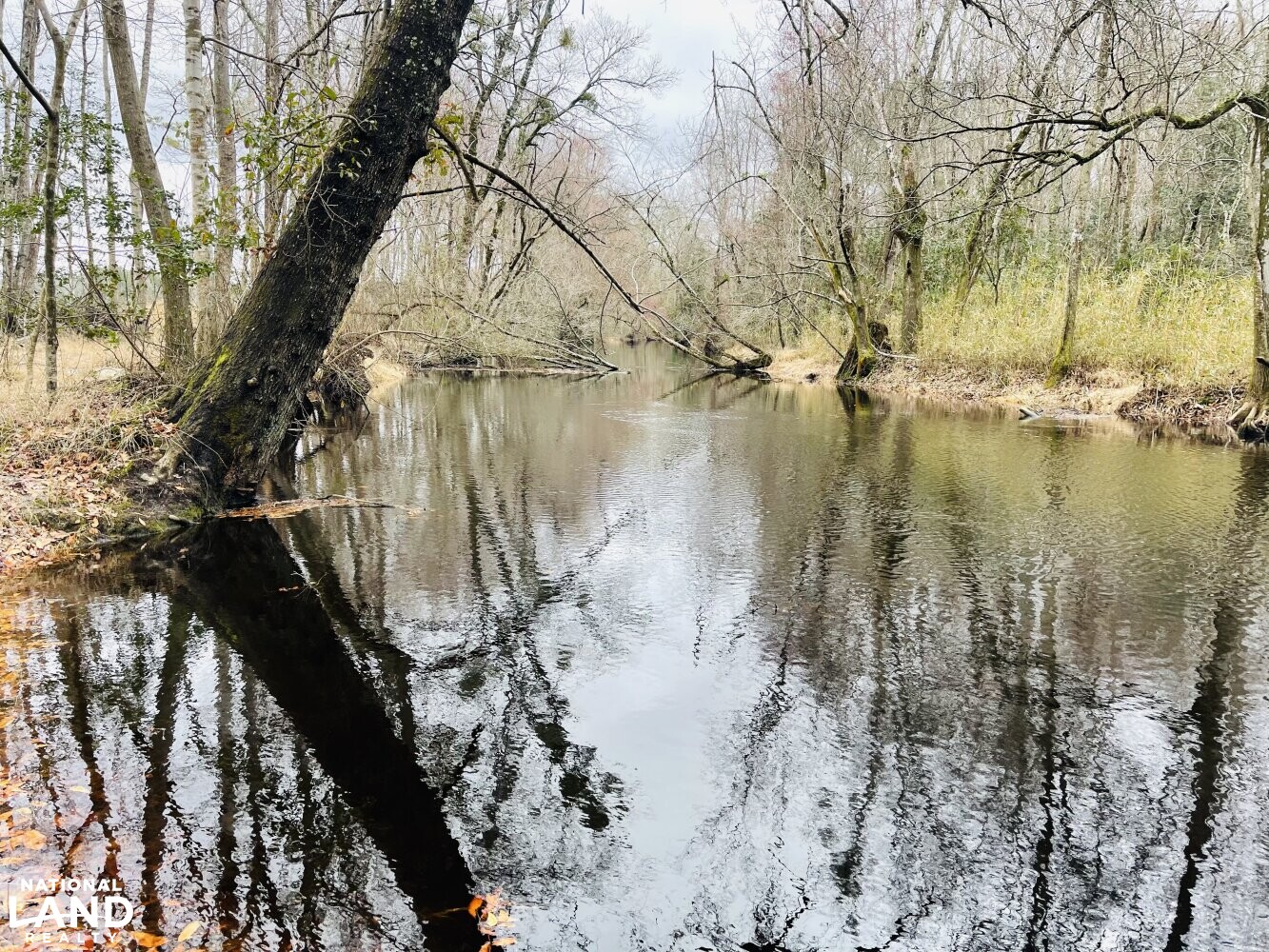 Colly Creek Hunting Land with Pond in Bladen County, North Carolina (15 ...