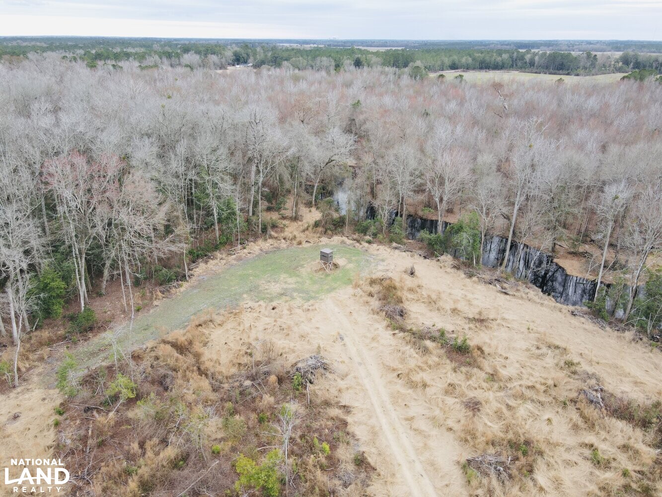 Colly Creek Hunting Land with Pond in Bladen County, North Carolina (15 ...
