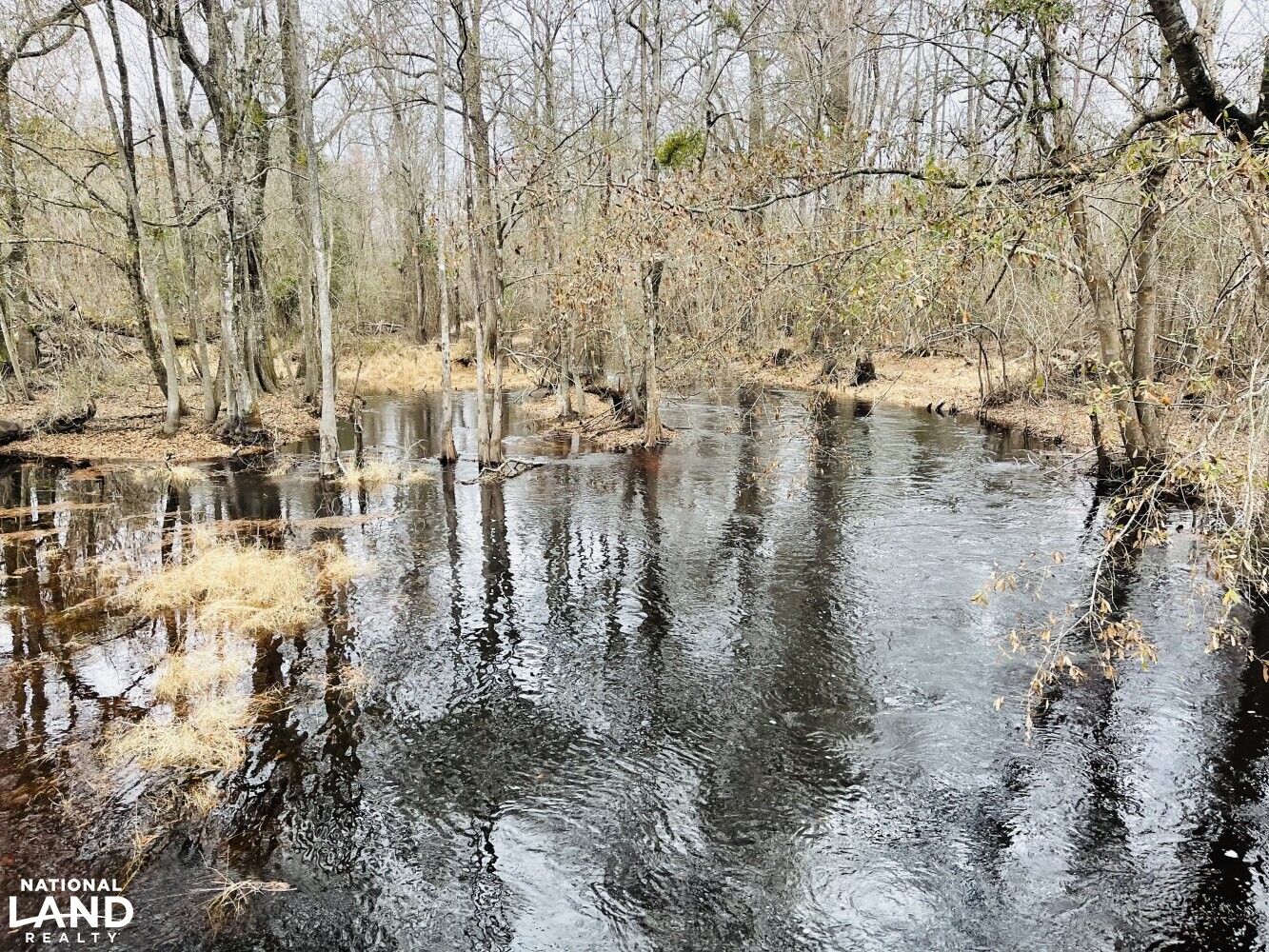 Colly Creek Hunting Land with Pond in Bladen County, North Carolina (15 ...