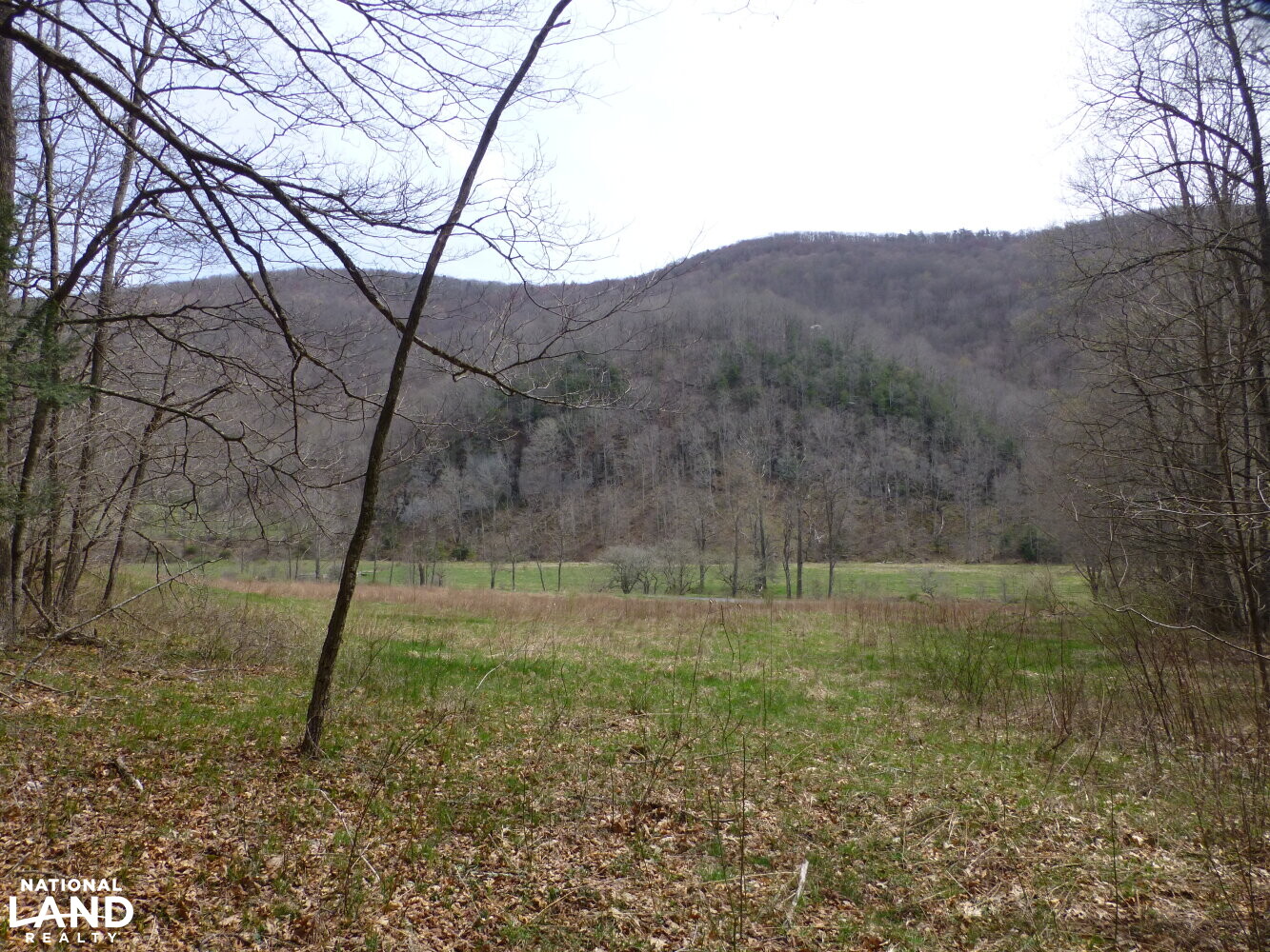62 Acres in Upper Back Creek Valley in Highland County, Virginia (11 ...