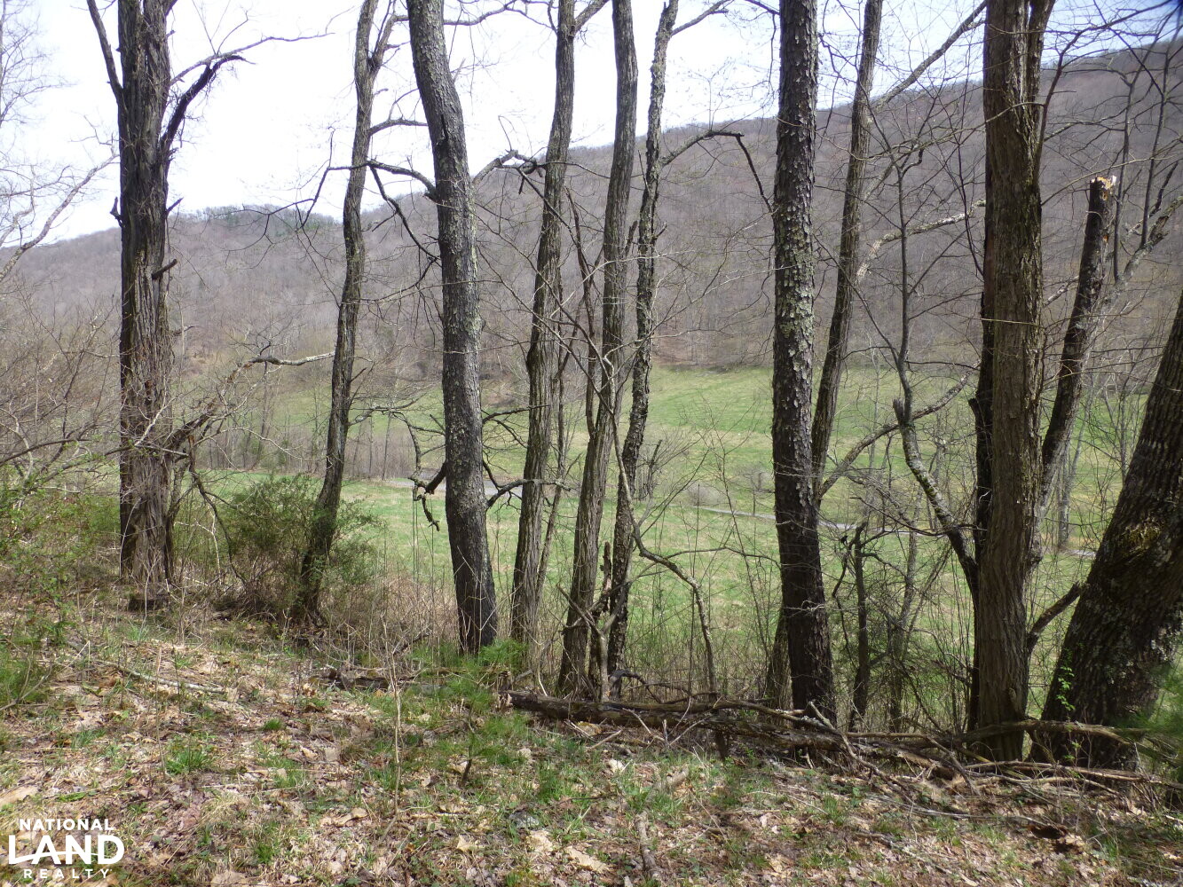 62 Acres in Upper Back Creek Valley in Highland County, Virginia (11 ...
