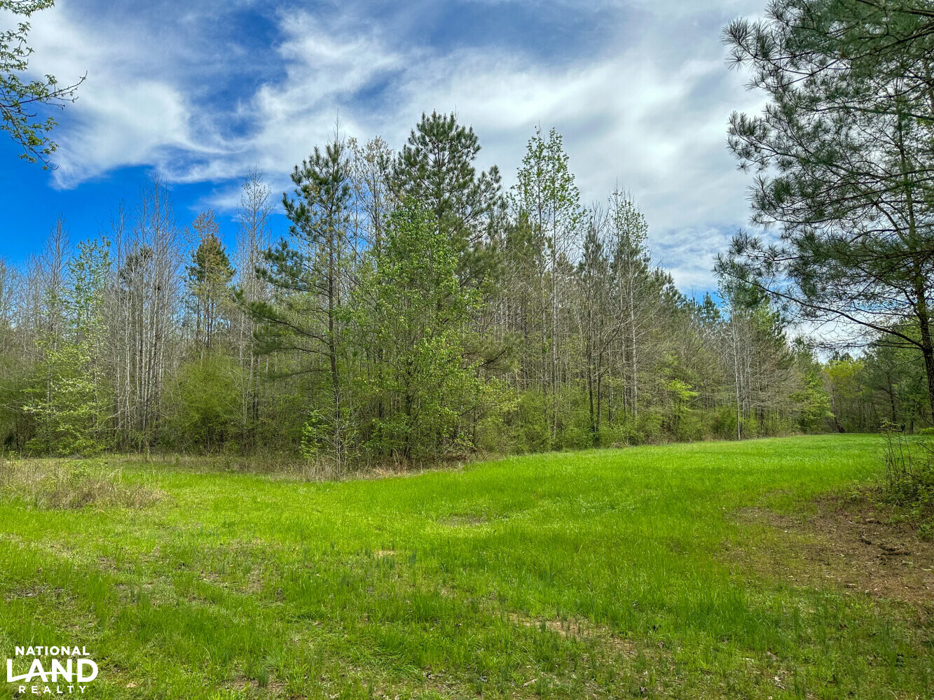 East Dallas County Hunting and Timber Investment Tract in Dallas County ...