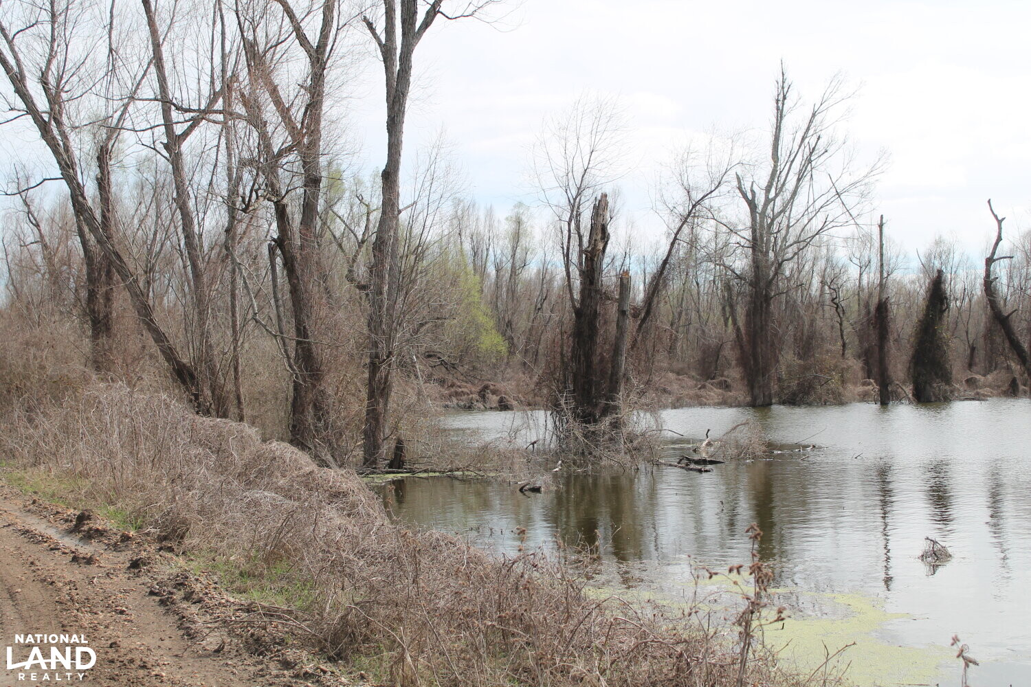 Deer, Waterfowl Hunting Near Esperance Point, Glasscock Island in ...