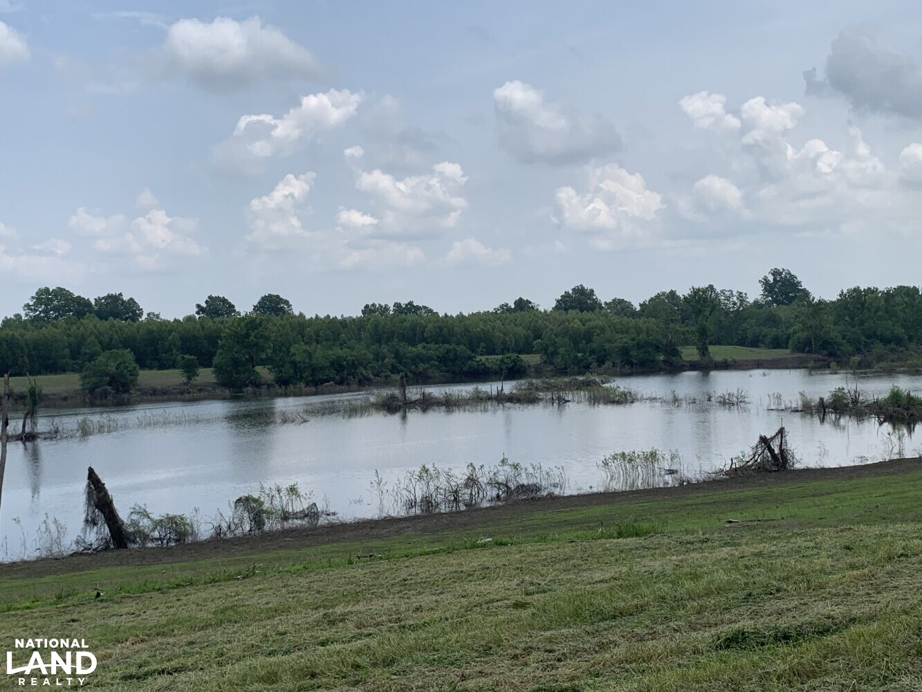 Deer, Waterfowl Hunting Near Esperance Point, Glasscock Island in ...