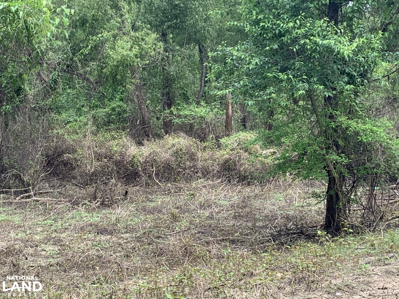 Deer, Waterfowl Hunting Near Esperance Point, Glasscock Island in ...