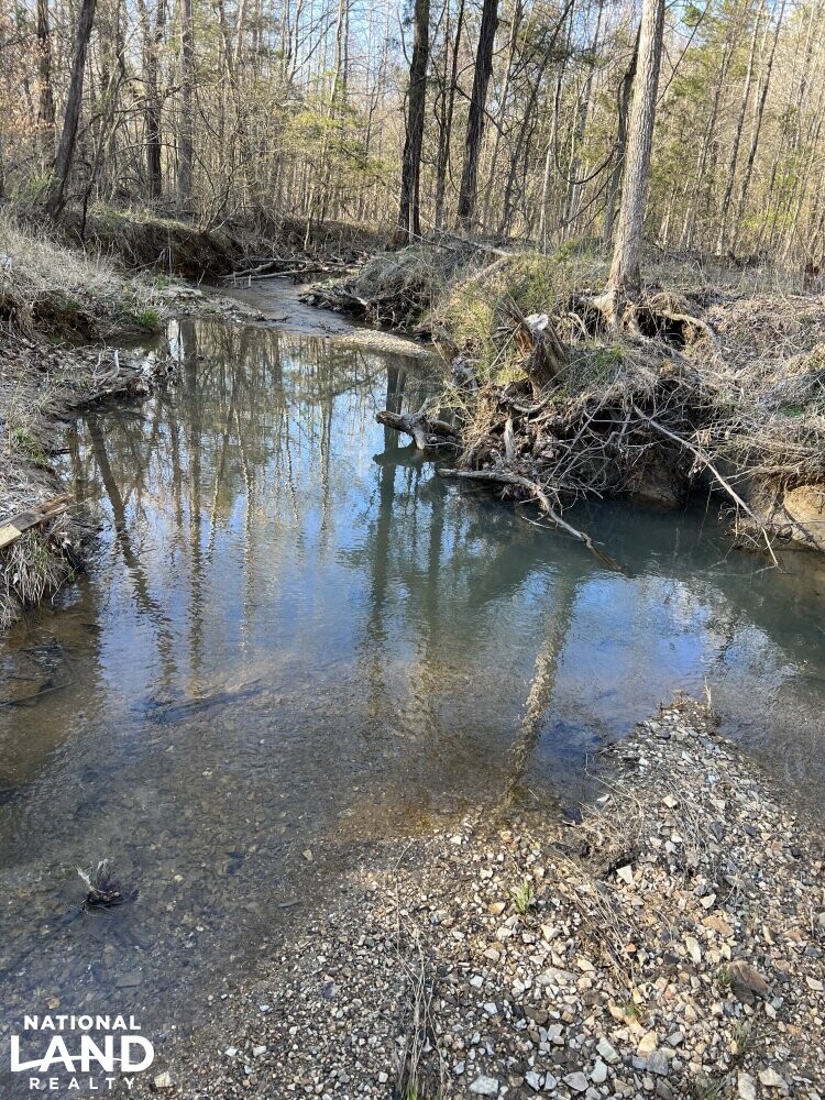 Perrel Springs in Forsyth County, North Carolina (28 Photos) | National ...