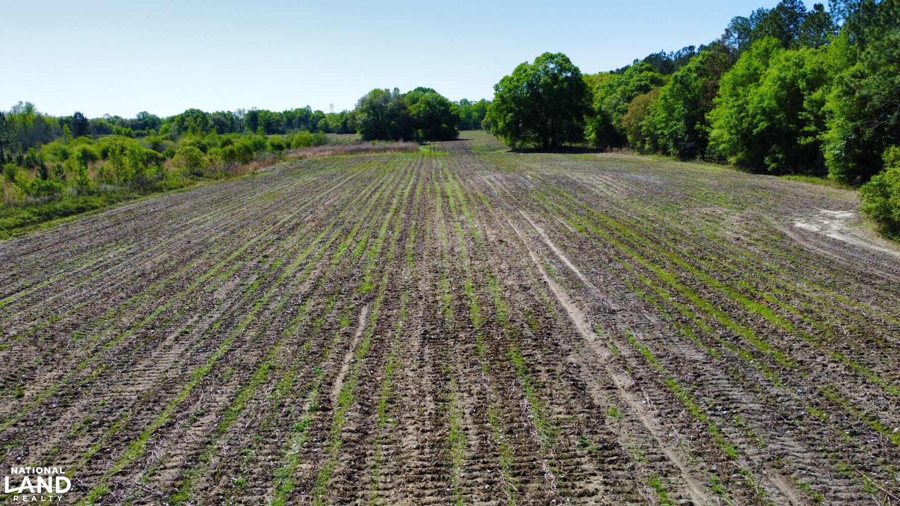 Damascus Hilton Row Crop Farm in Early County, Georgia (17 Photos ...