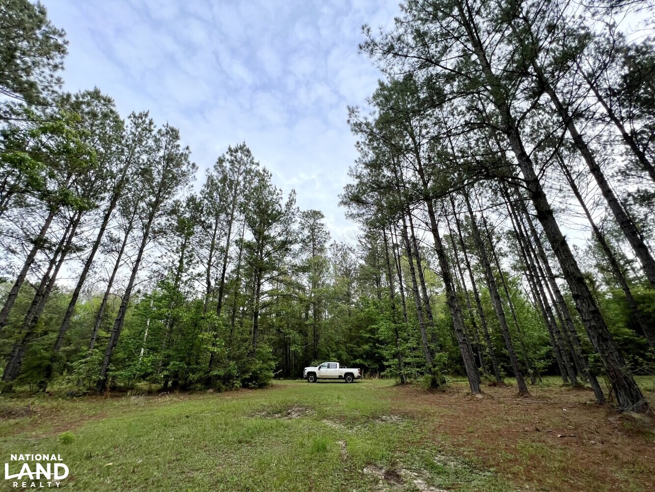 Chatom Little Bassetts Creek Hunting Camp & Recreational Tract in ...