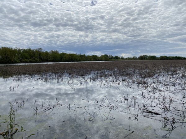 30 Acre Duck Hole in Monroe County, Arkansas (14 Photos) | National ...