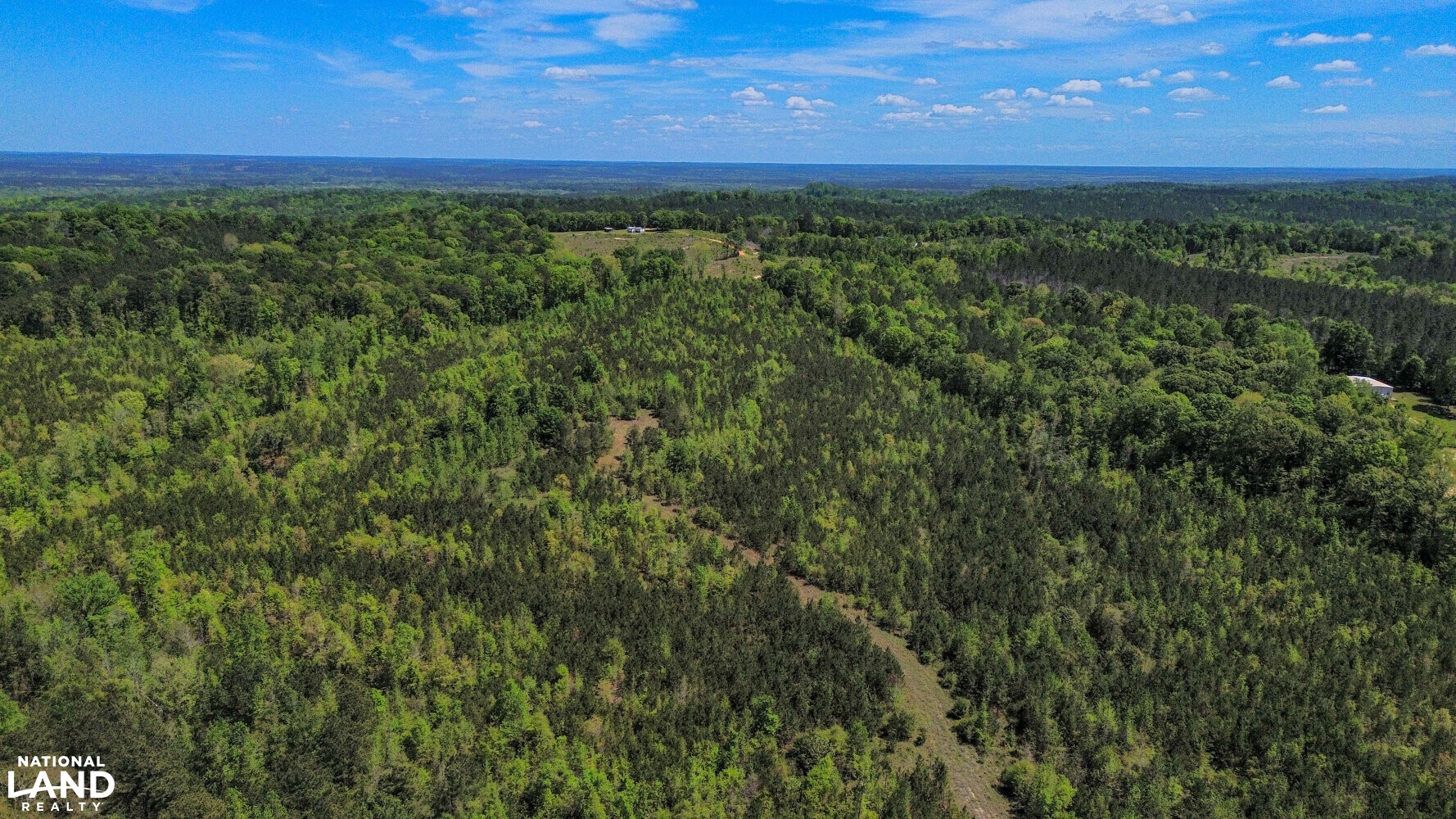 Perry County Home, Pasture, and Timber Tract in Perry County, Alabama ...