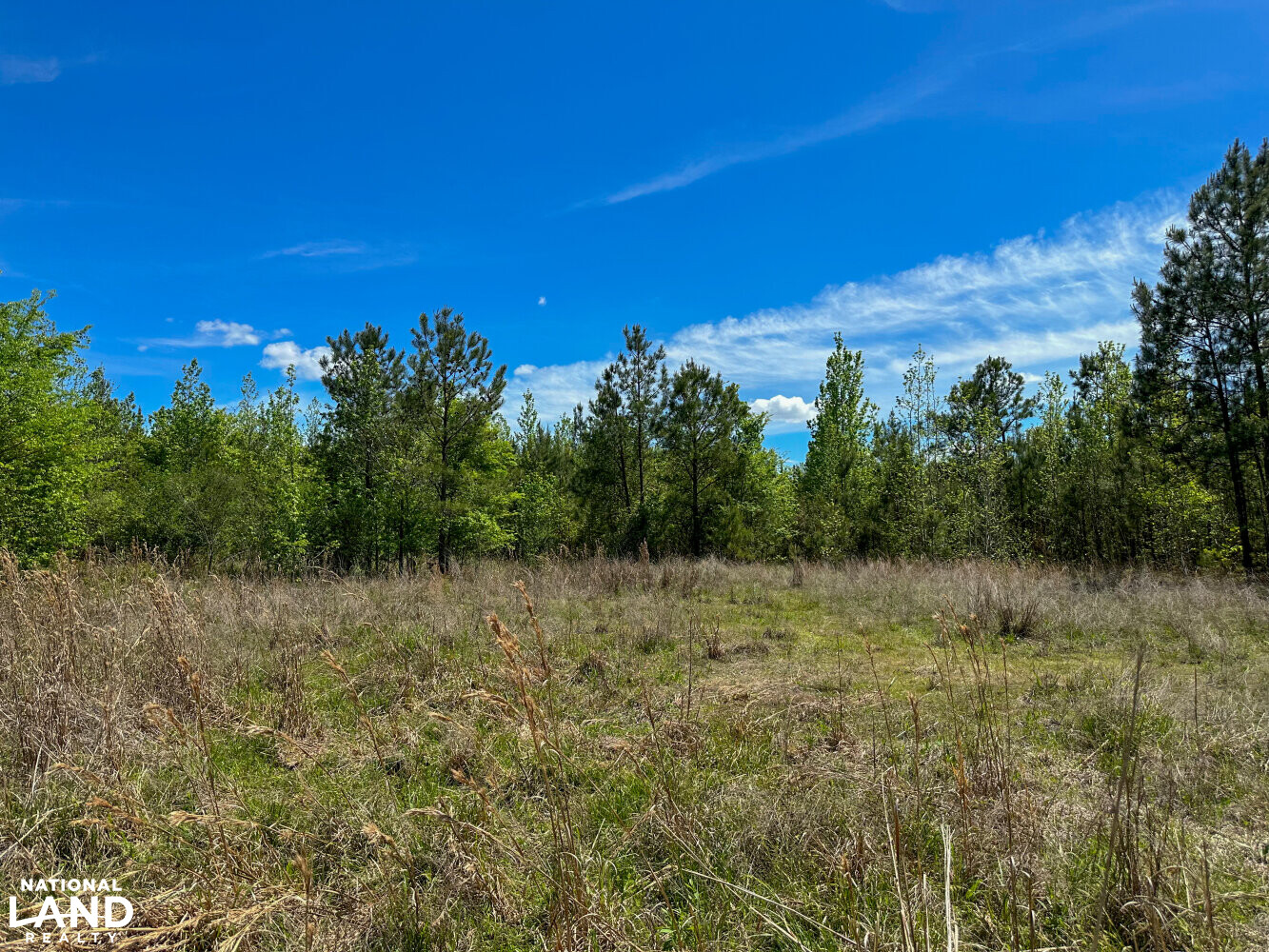 Perry County Home, Pasture, and Timber Tract in Perry County, Alabama ...