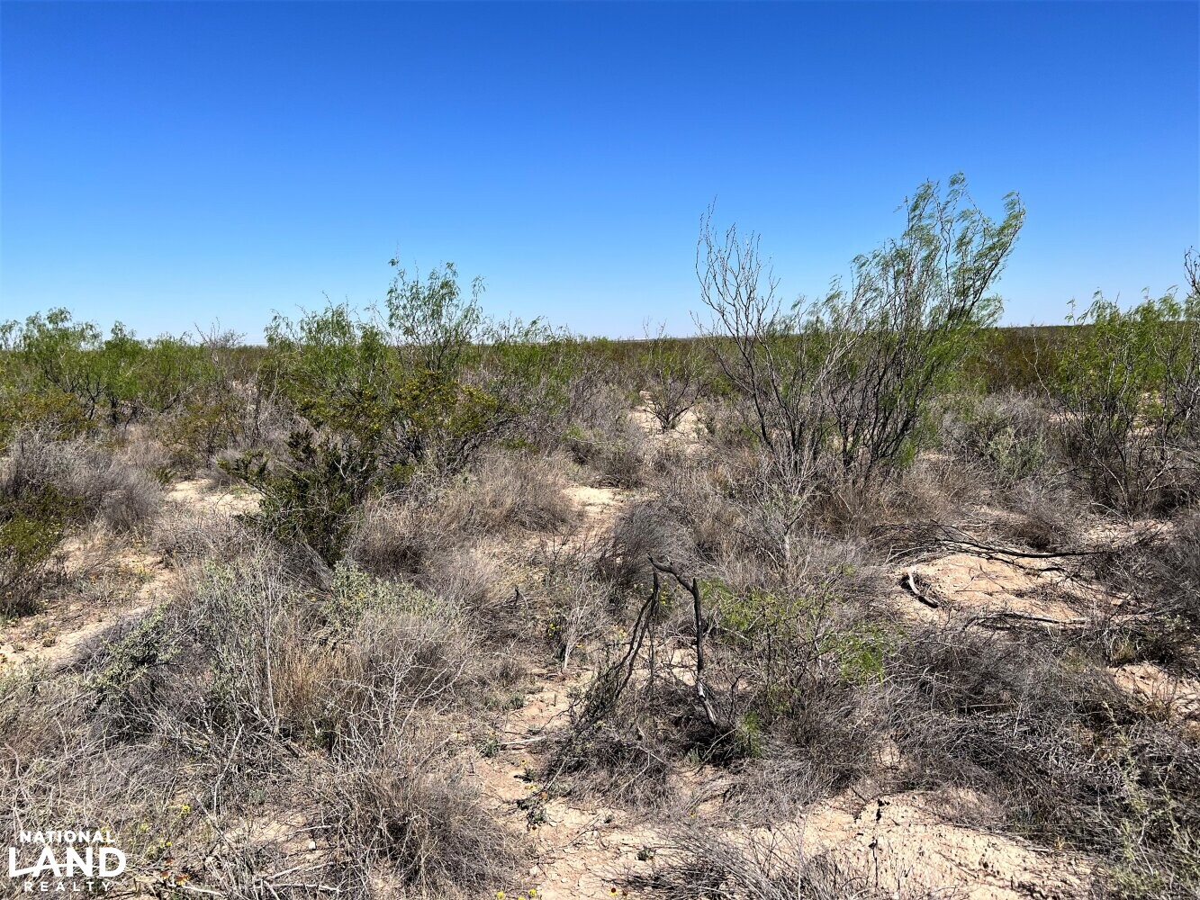 The Back Forty Recreational and Hunting Tract in Reeves County, Texas ...