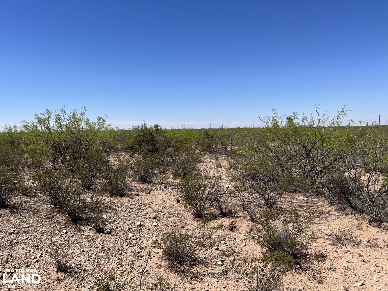 The Back Forty Recreational and Hunting Tract in Reeves County, Texas ...