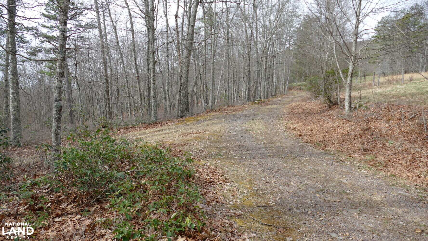 Bath County Hunting Retreat with Cabin in Bath County, Virginia (93 ...