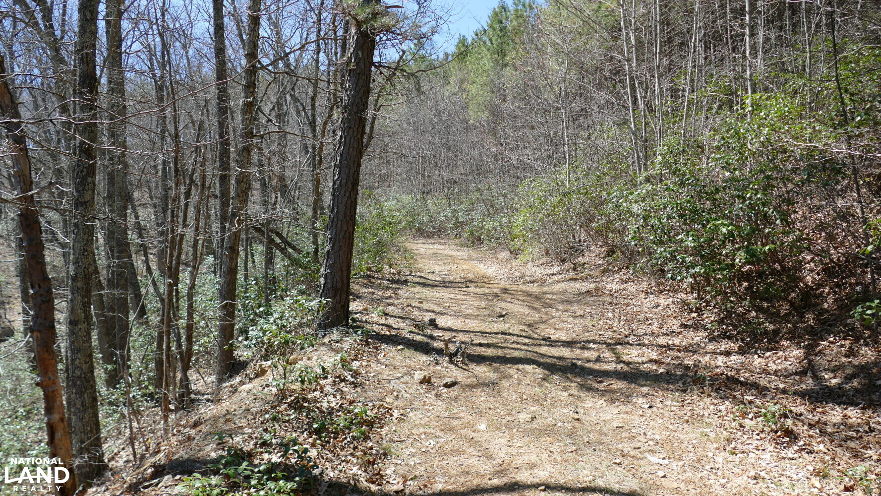 Bath County Hunting Retreat with Cabin in Bath County, Virginia (93 ...
