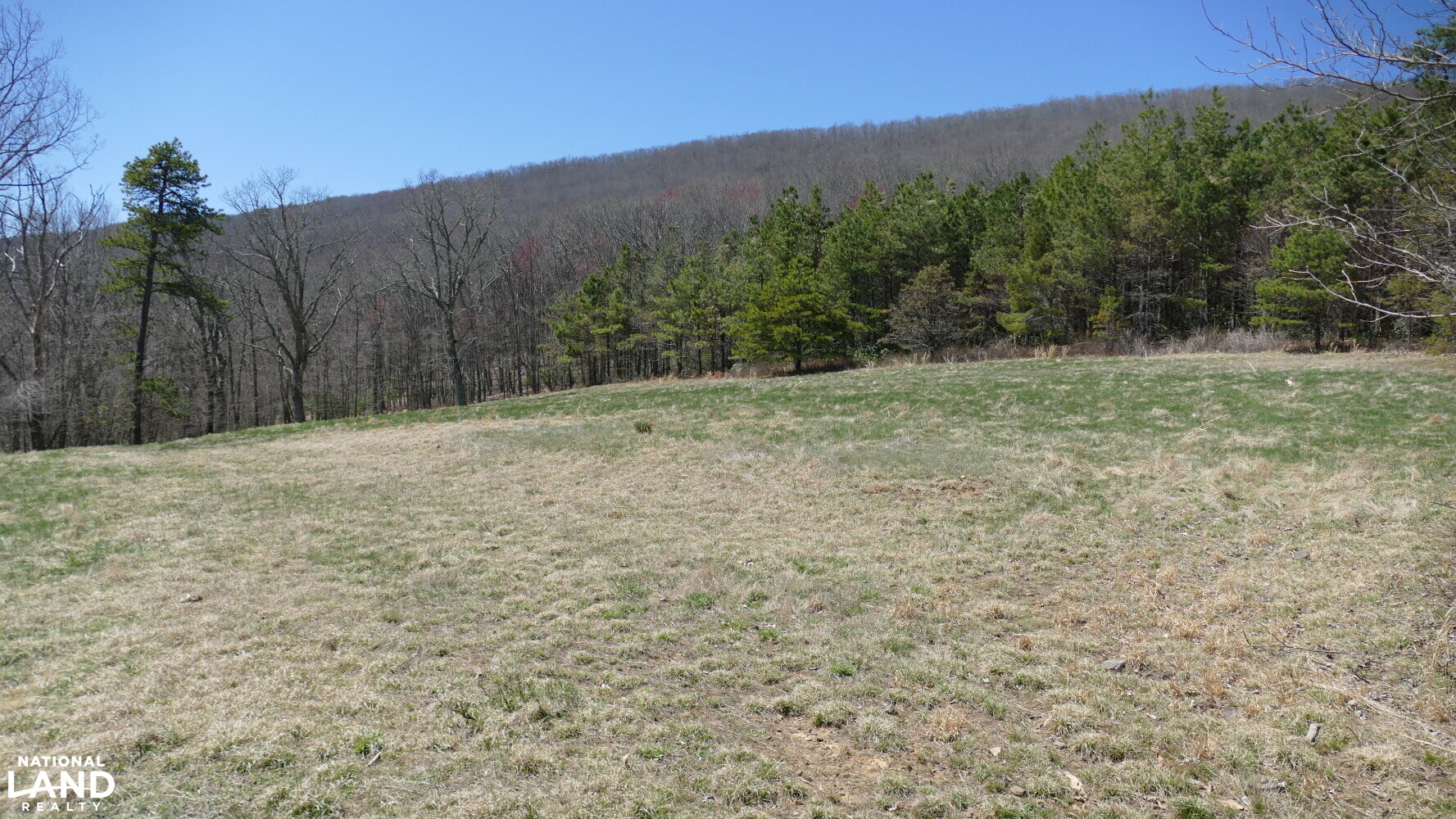 Bath County Hunting Retreat with Cabin in Bath County, Virginia (93 ...