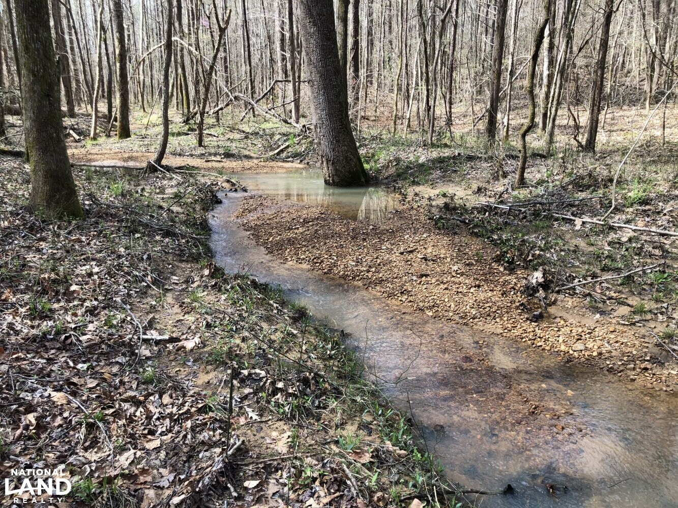 Pine, Hardwood, Spring-fed Creek in McNairy County, Tennessee (9 Photos ...