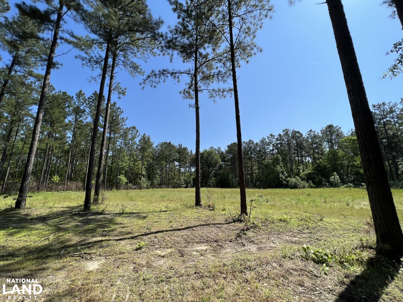 Hightower Timber and Recreational Investment in Early County, Georgia ...