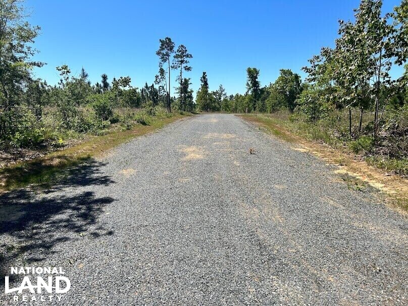 Rural Acreage with Private Drive in Taylor County, Georgia (6 Photos ...