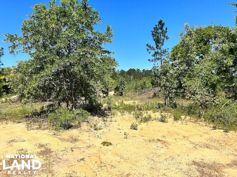 Rural Acreage with Private Drive in Taylor County, Georgia (6 Photos ...